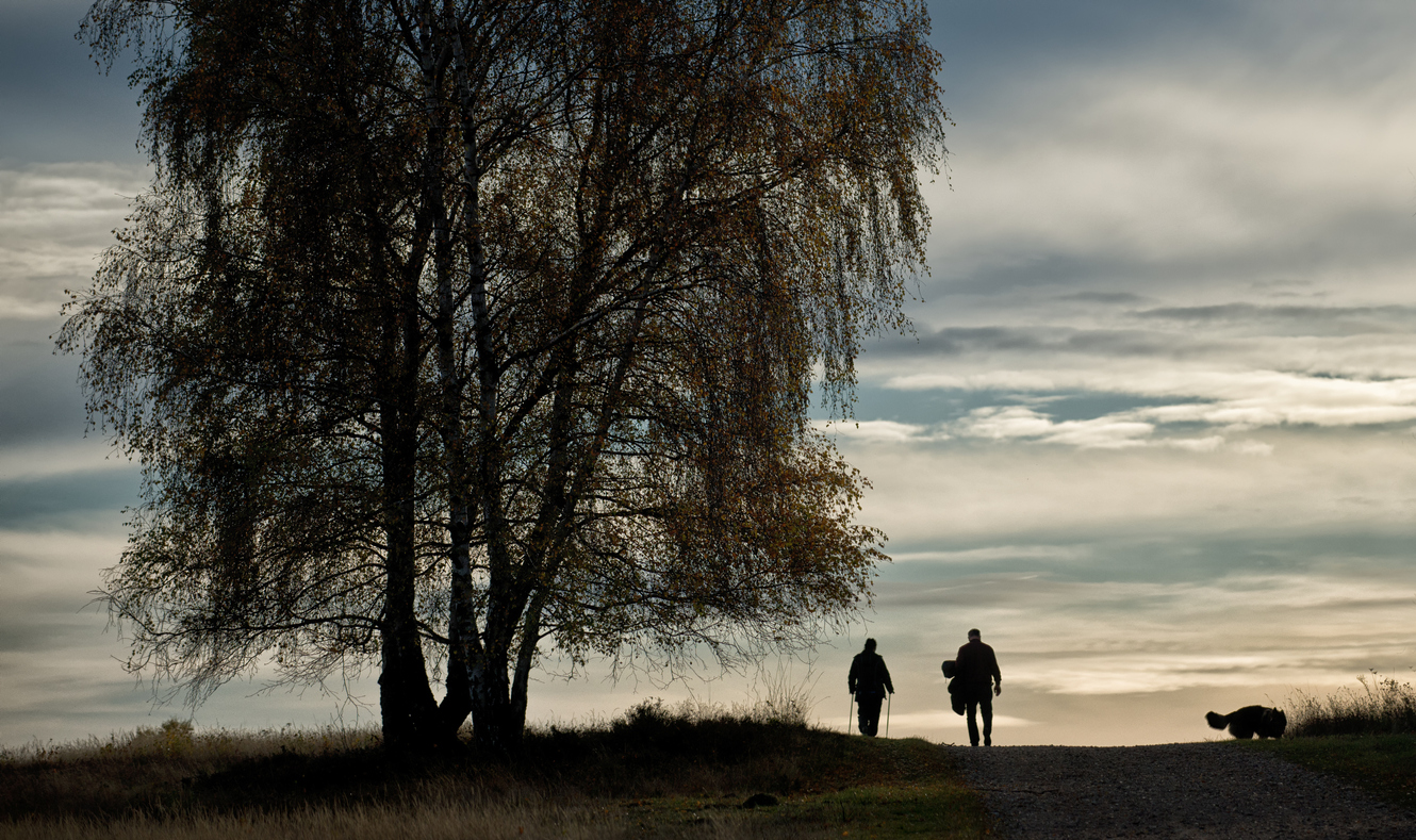 Activities for Your Dog | Five Best Physical Activities for Your Dog